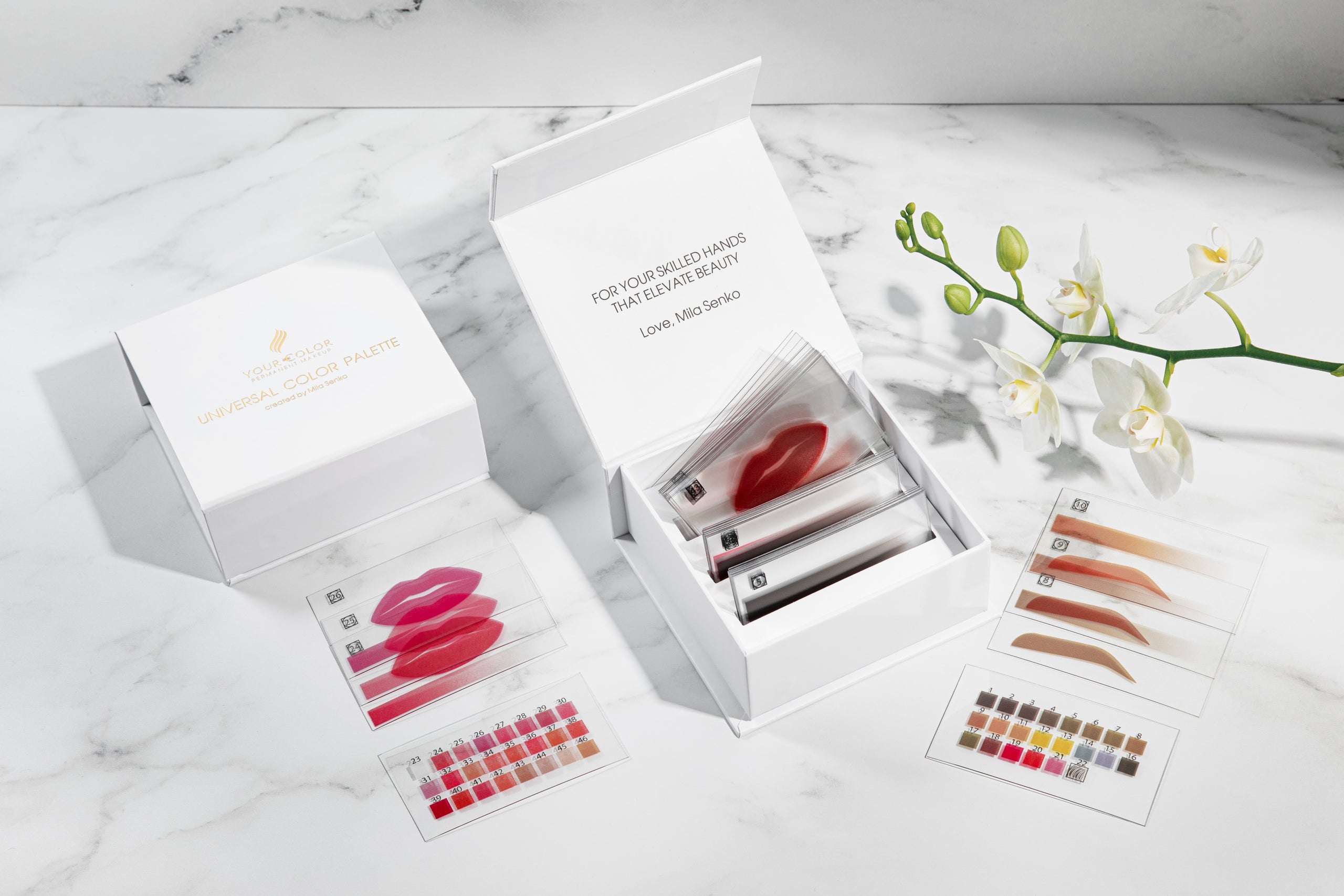 Your Color Universal Color Palette | YOUR COLOR